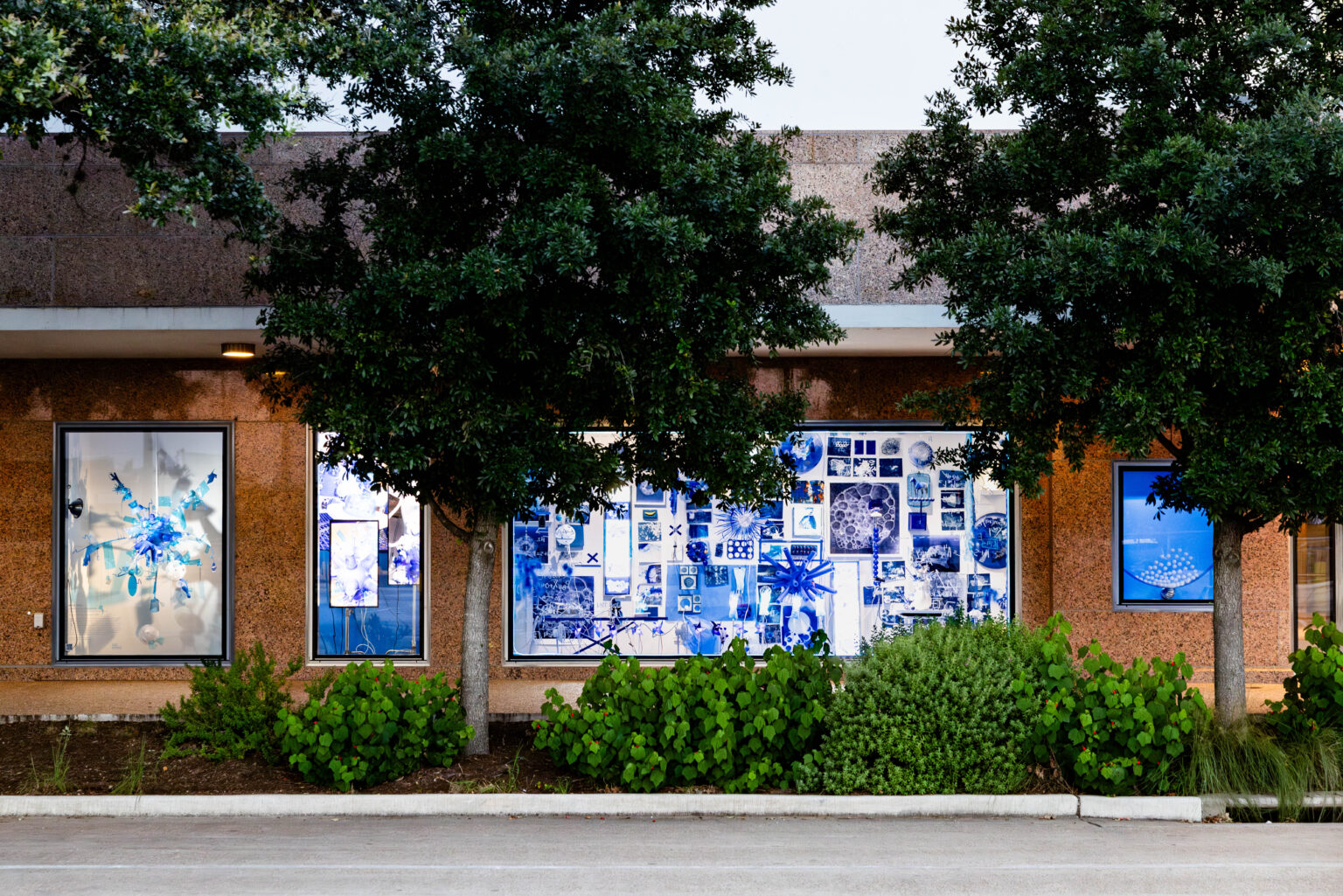 Homepage - Ion District