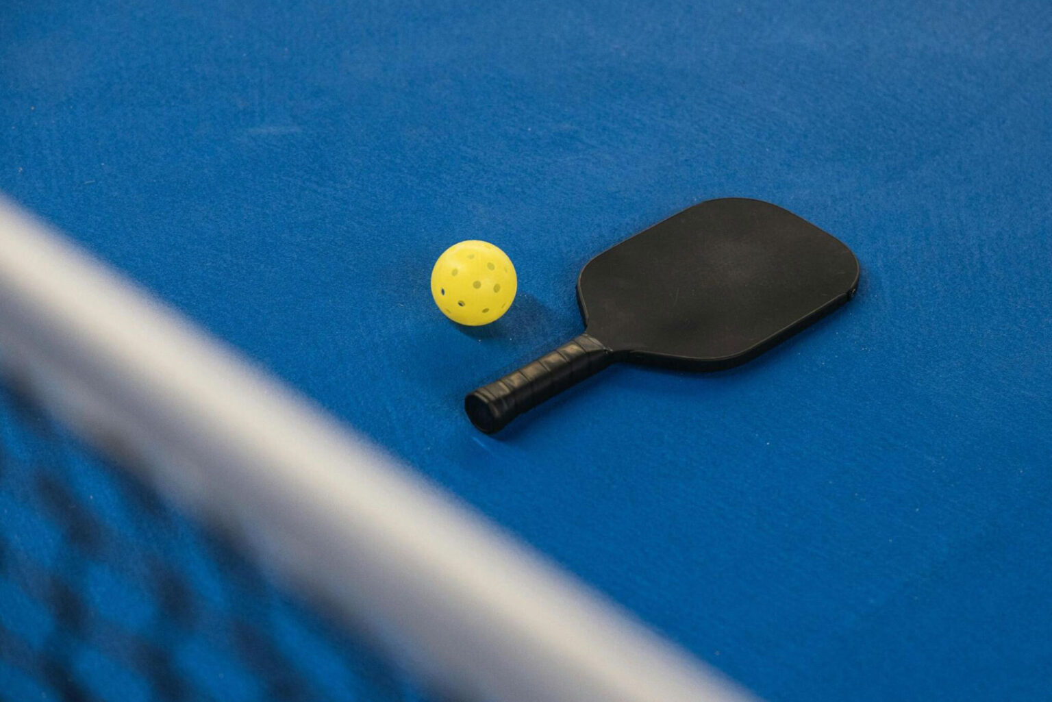 Pickle Lab - Ion District